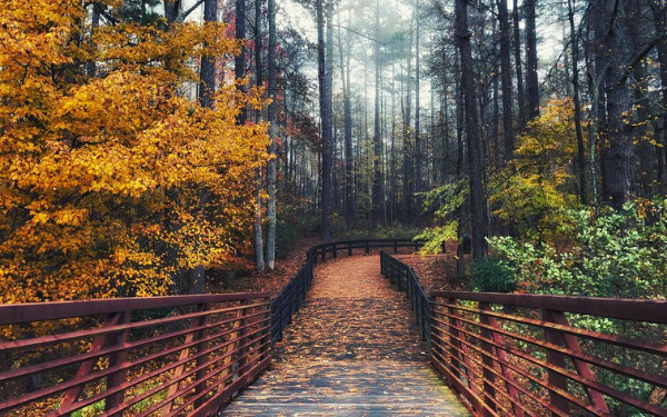 Home | DeKalb County GA